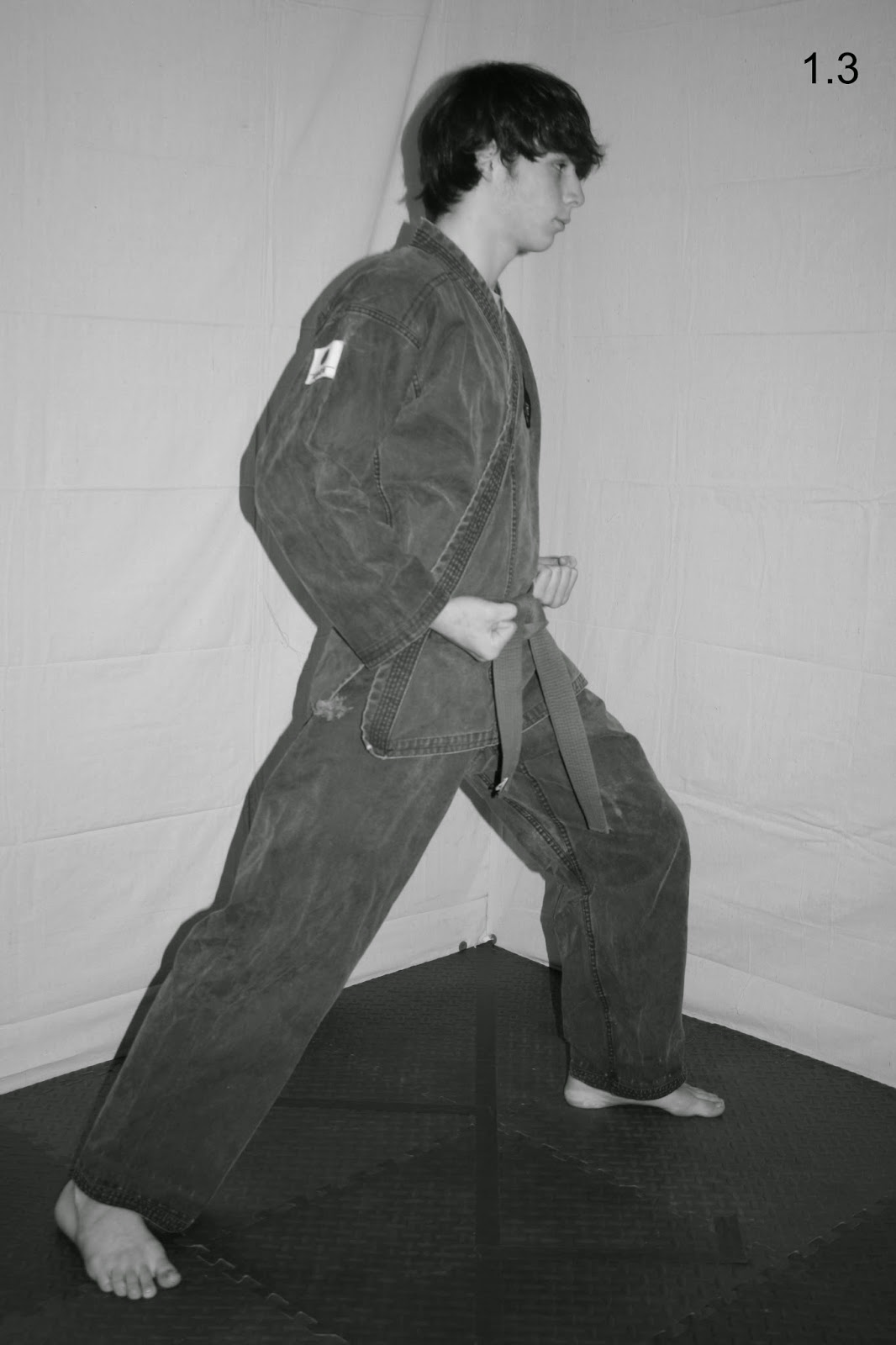 Righting Crime Fiction: A Writer's Guide to Fighting: The Ready Stance