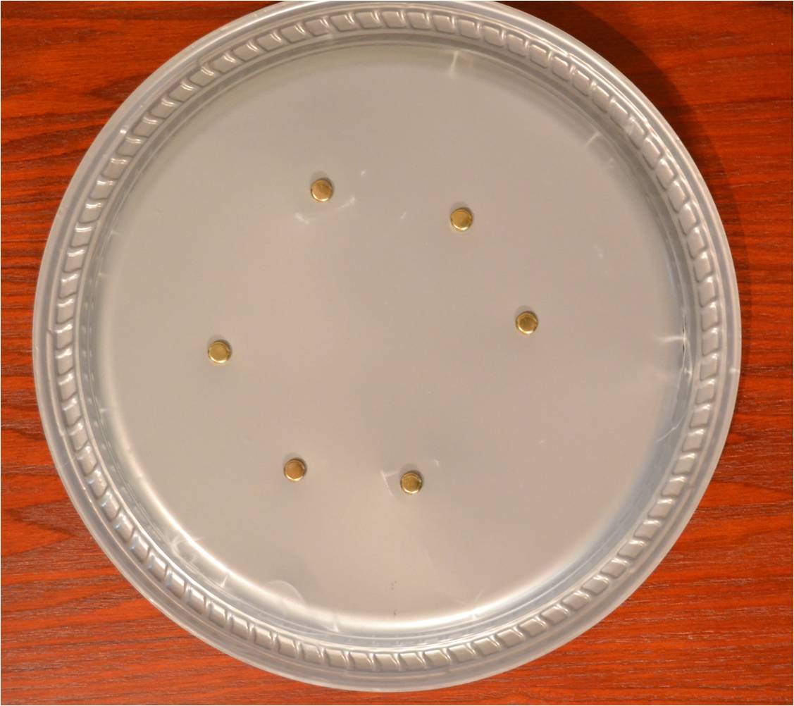 Bible Class Creations: Plastic Plate Shield