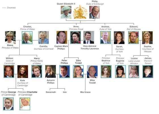 A Night Watcher: British Royal Family