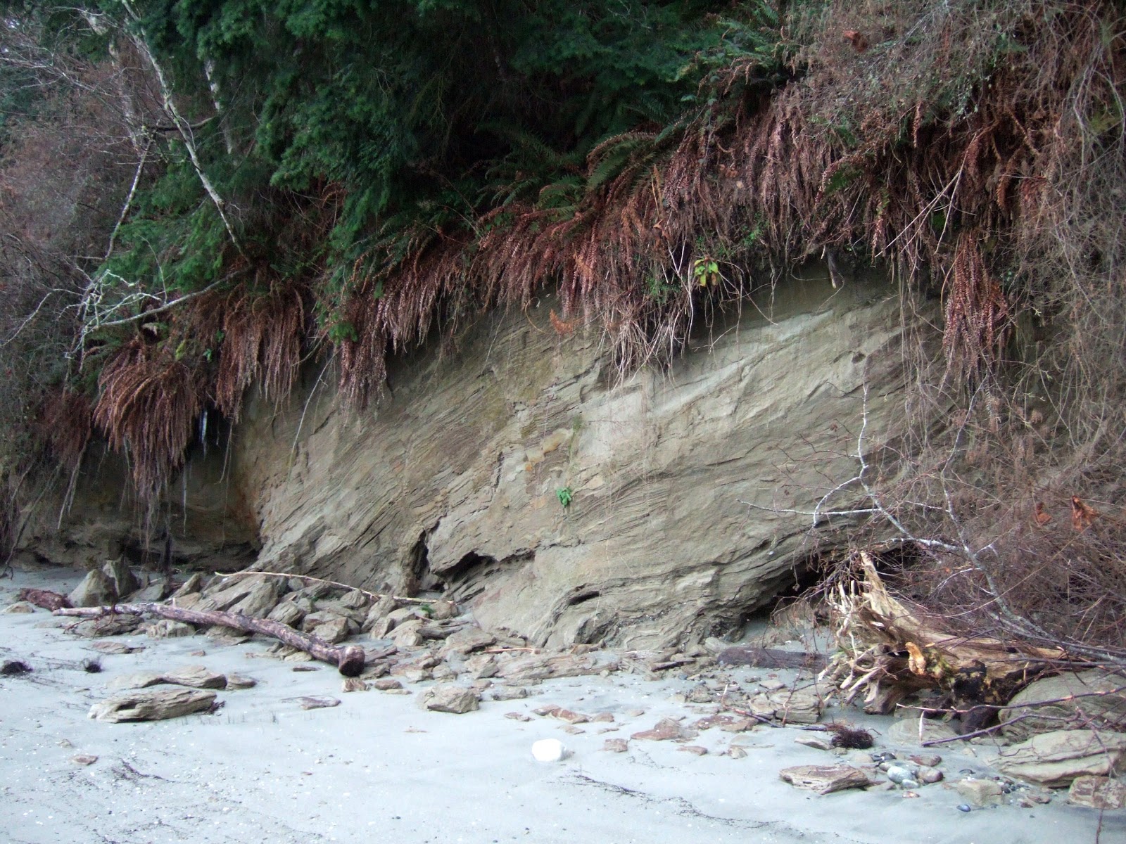 Reading the Washington Landscape: Soft Sediment Deformation ...