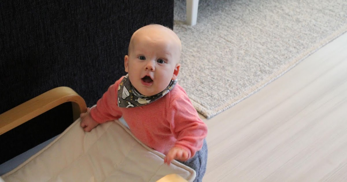 Småpotatis: Ett halvt år