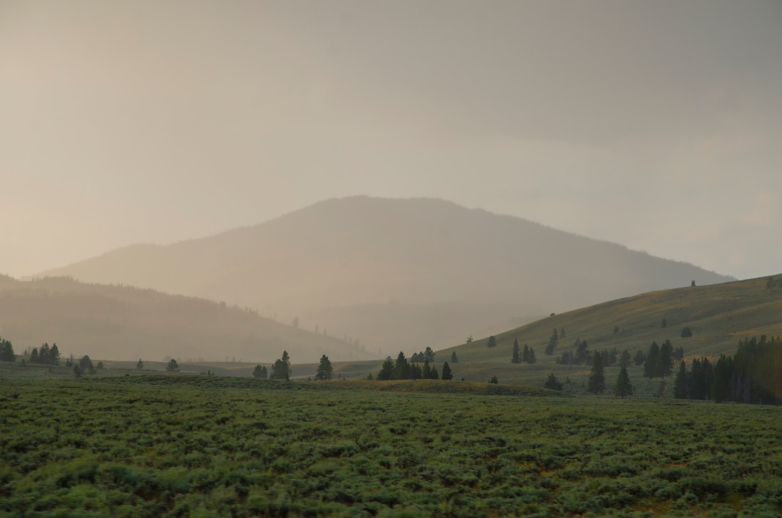 Я і моє життя: Національний парк "Єллоустон" (Yellowstone National Park)