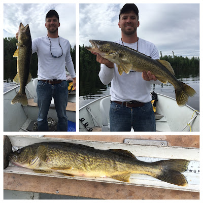 Black Bear Lodge Blog: 2018 Biggest Walleyes