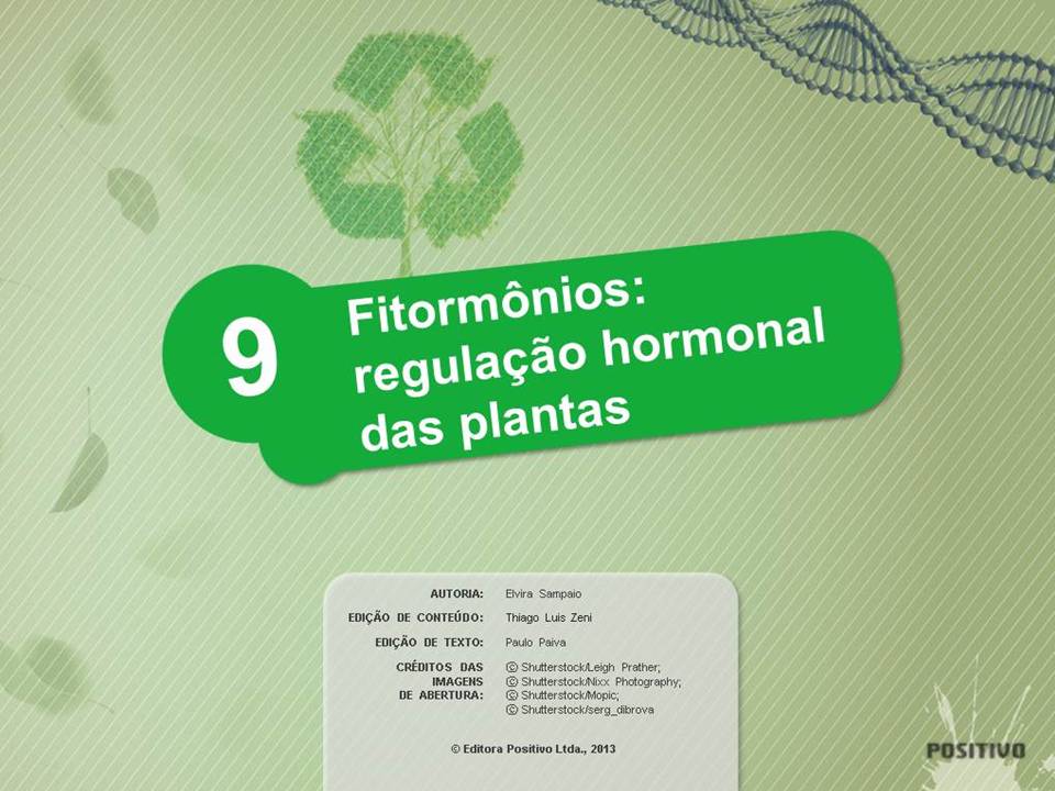 Professora Darlene Timm: Fitormônios: regulação hormonal das plantas