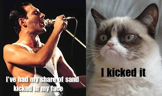 Grumpy Cat - The Rock'n'Roll years: Grumpy Cat meets Queen