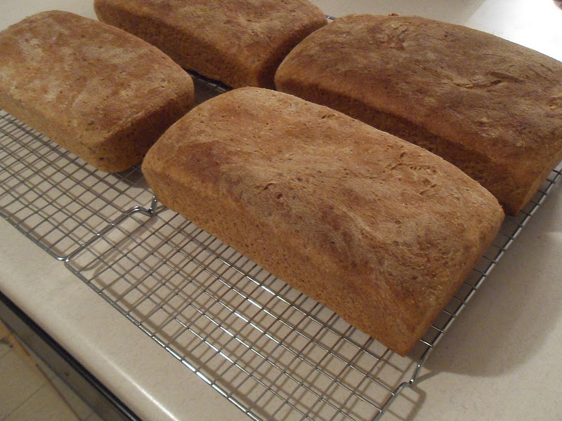 Simple Joy Crafting: Homemade Bread from Scratch