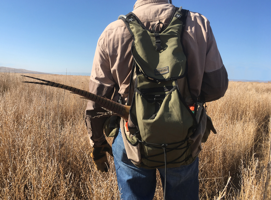 2016 PHEASANT HUNT OPENER
