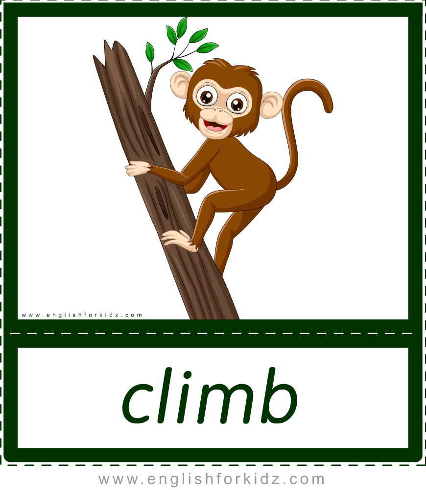 Printable Flashcards: Animal Actions. Part 1.