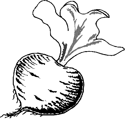 Düş Kanyonu : Meyve ve Sebze Boyama Sayfaları