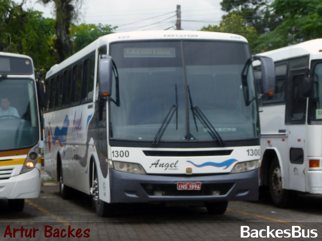 Backes Bus: Angel