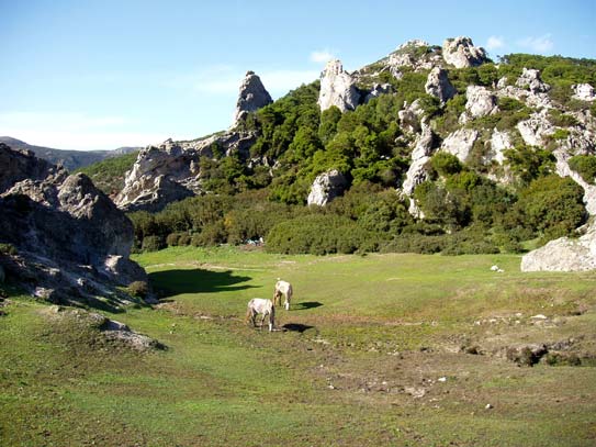 SENDERISMO EN EL RIF/RANDONNÉES DANS LE RIF: DHAR HAJAR Y FAHS LEMHAR ...