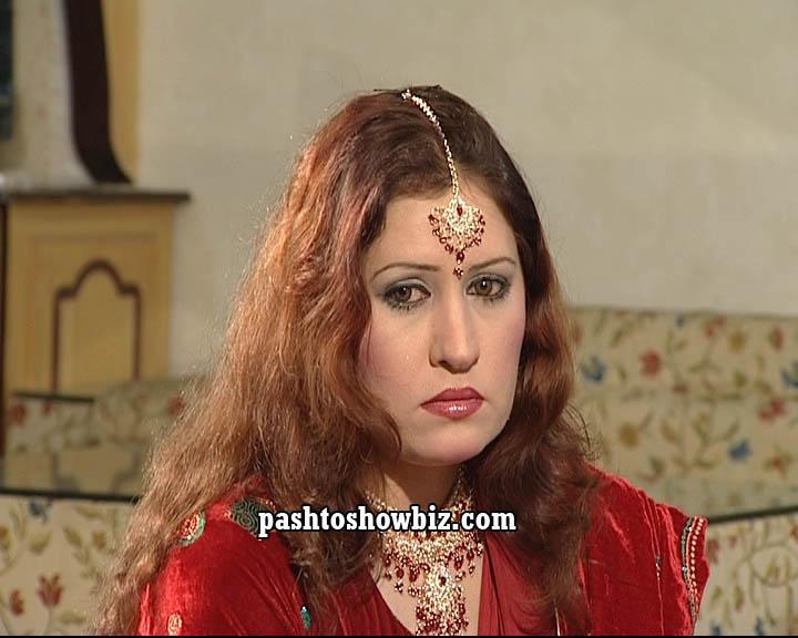 Pashti - JungleKey.in Image