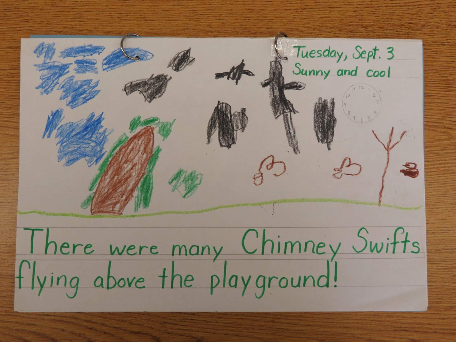 Our Kindergarten Adventure: Nature Observation Journal