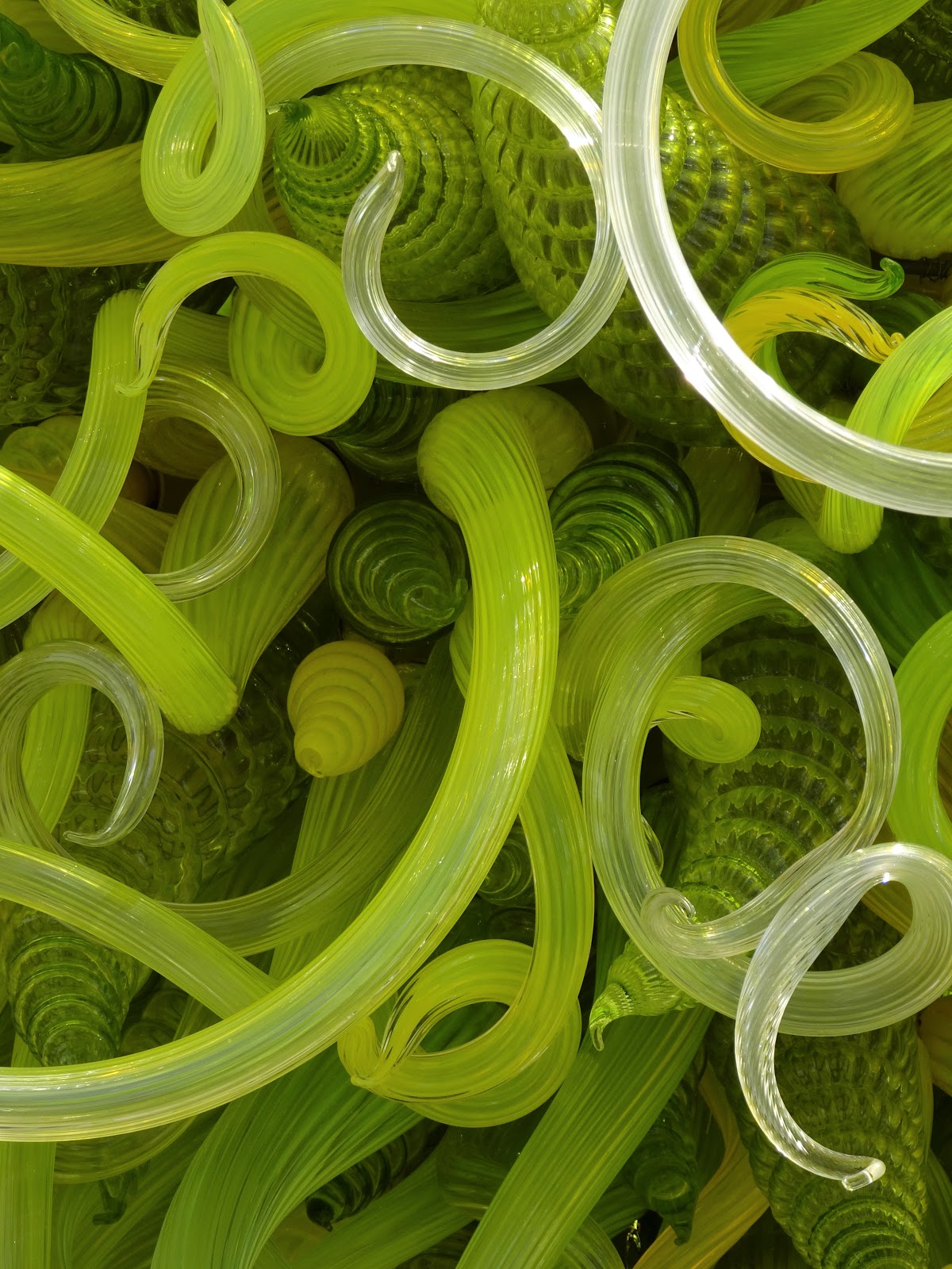 There's a Dragon in my Art Room: Chihuly at the NY Botanical Garden
