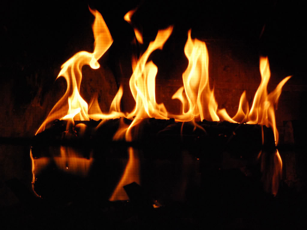 Thomas Hardy: The Wood Fire (A Fragment)