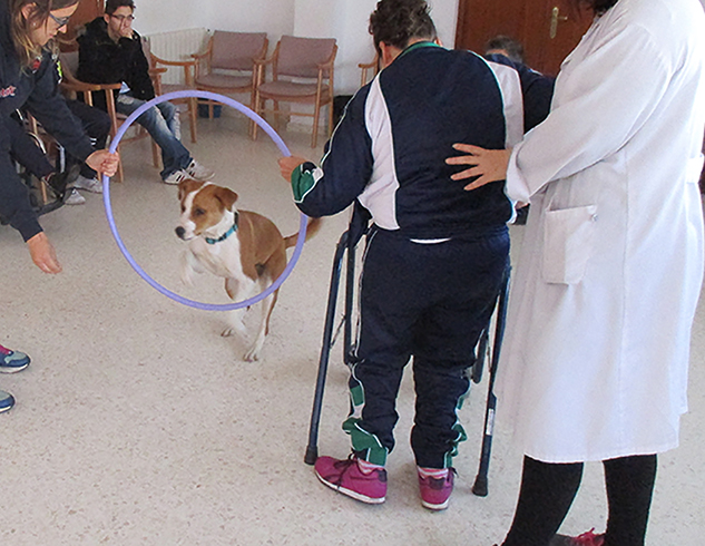 5 PREGUNTAS SOBRE LA TERAPIA CON PERROS - Agro López Monforte