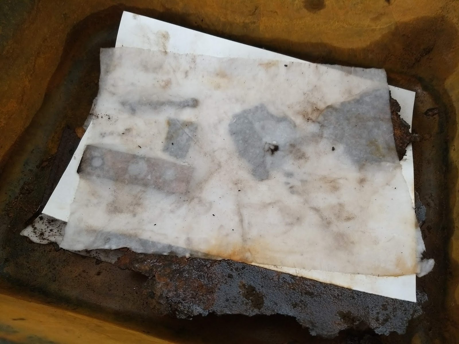 Rust Dyeing on Paper