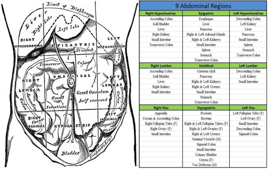 Kumpulan Kasus Medis: AKUT ABDOMEN