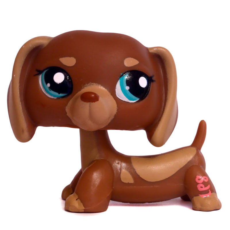 Littlest Pet Shop #163 Littlest Pet Shop (Series 3) #3-164 - comsult
