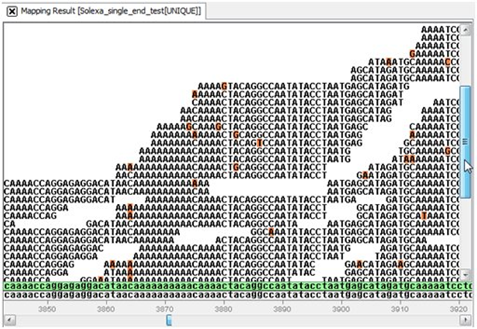 #!/perl/bioinfo: Curso de Python para biólogos - Lección 1. Ejecutando ...