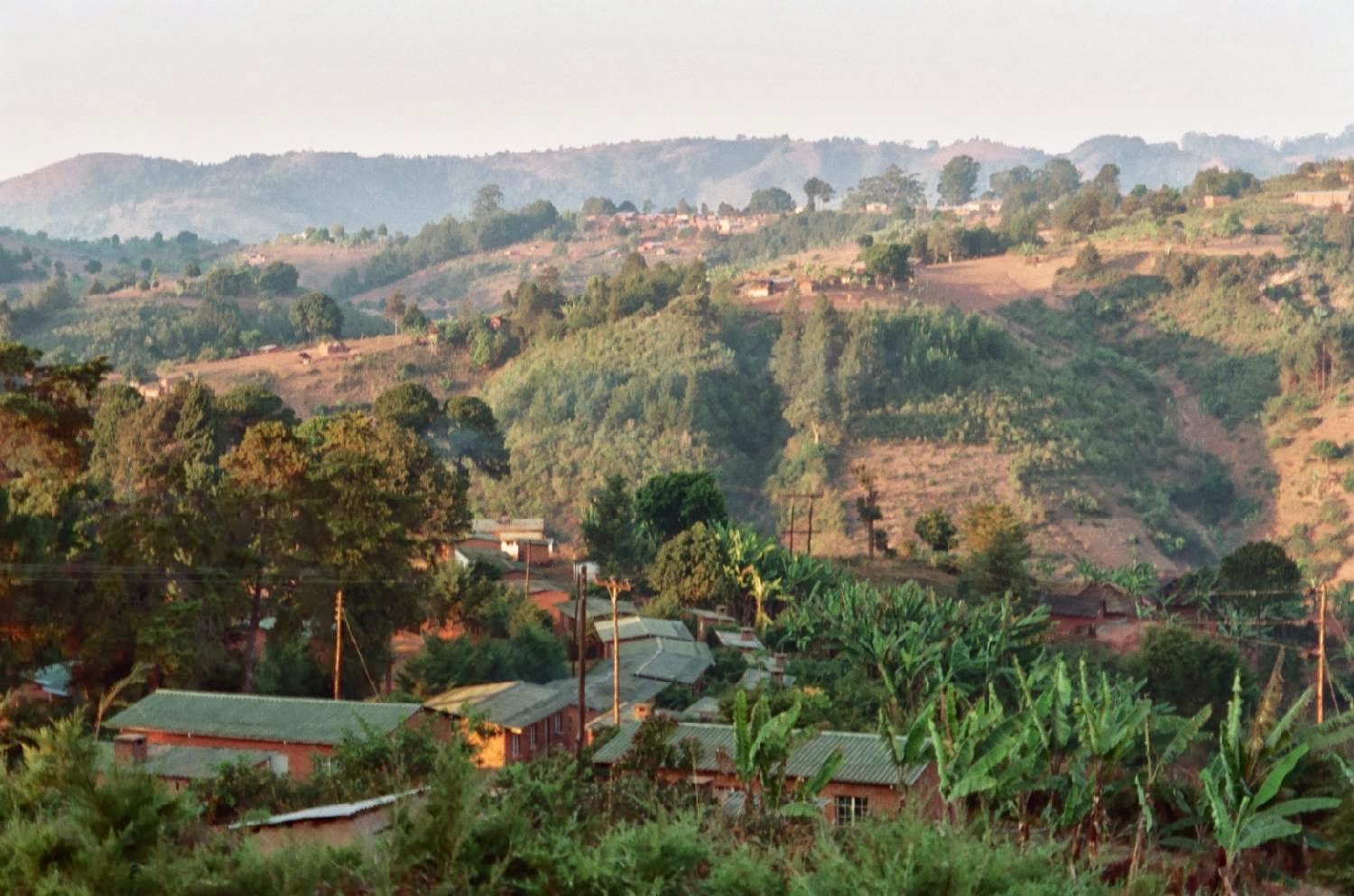 Creative Corner: "MISUKU, A BEAUTIFUL HOMELAND"