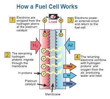 Electrical and Electronics Engineering: How a Fuel cell works!!