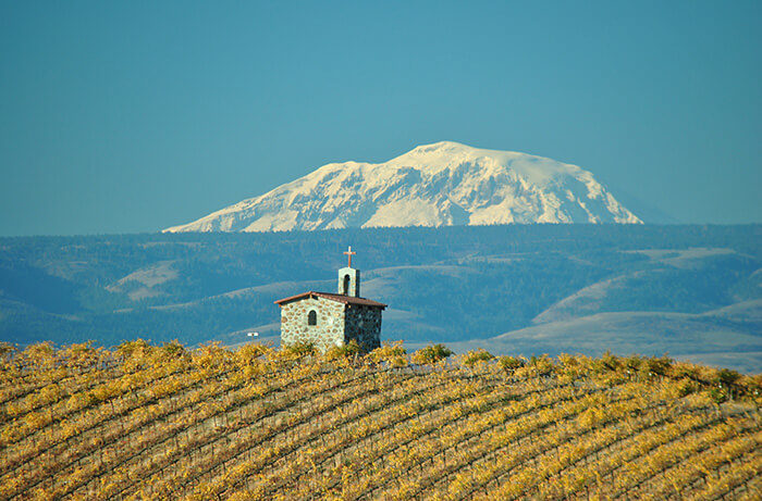 How an iconic Washington vineyard led the way for Syrah - Northwest ...