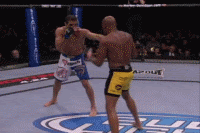 UFC Super Gif Blog: Awesome UFC Gifs Part 2