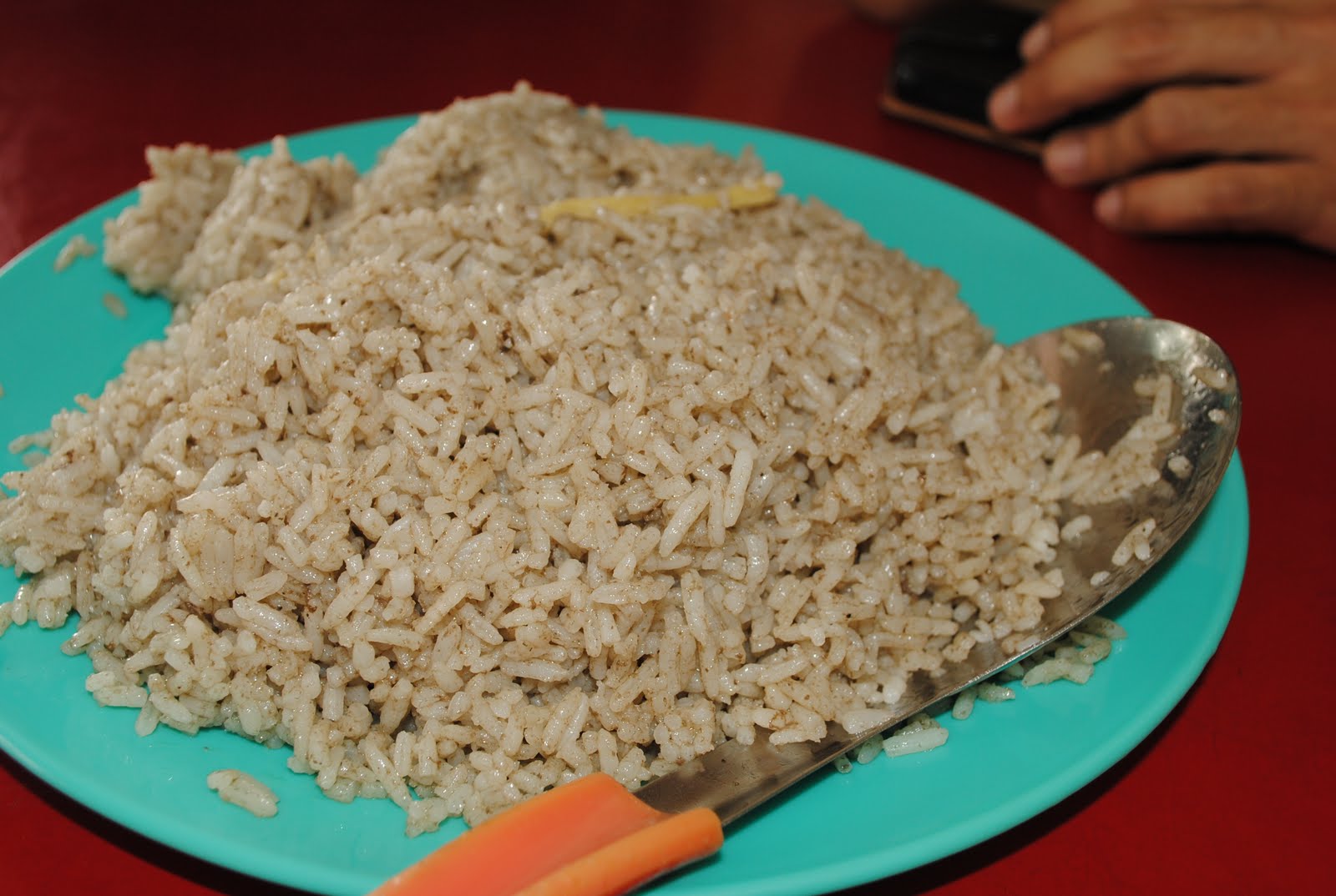 My Journey...My Life...My Family...: Day 1 - Penang Trip 2011 : Nasi ...