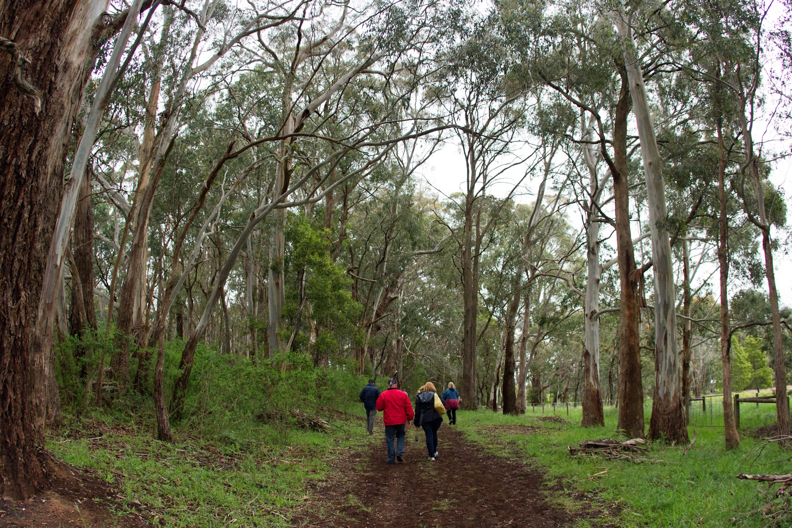 Spoonfuls of Wanderlust: Spring Hill Peony Farm & Macedon Ranges Weekender