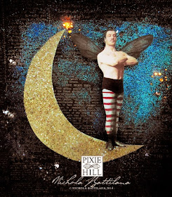 Pixie Hill: Good bye 2014!