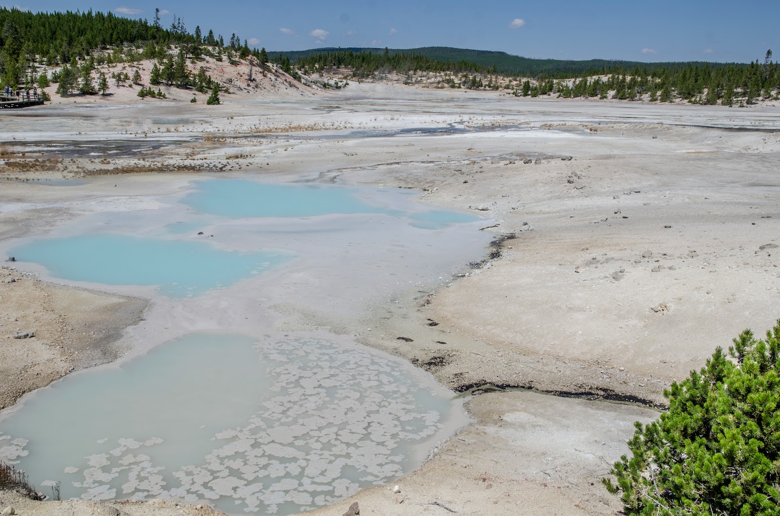 Я і моє життя: Національний парк "Єллоустон" (Yellowstone National Park)