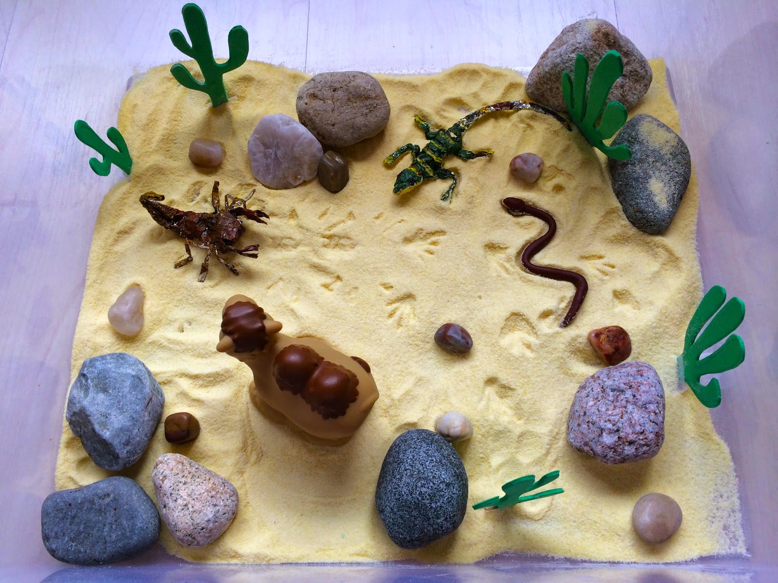 Creative Projects for Kids: Desert Sensory Bin