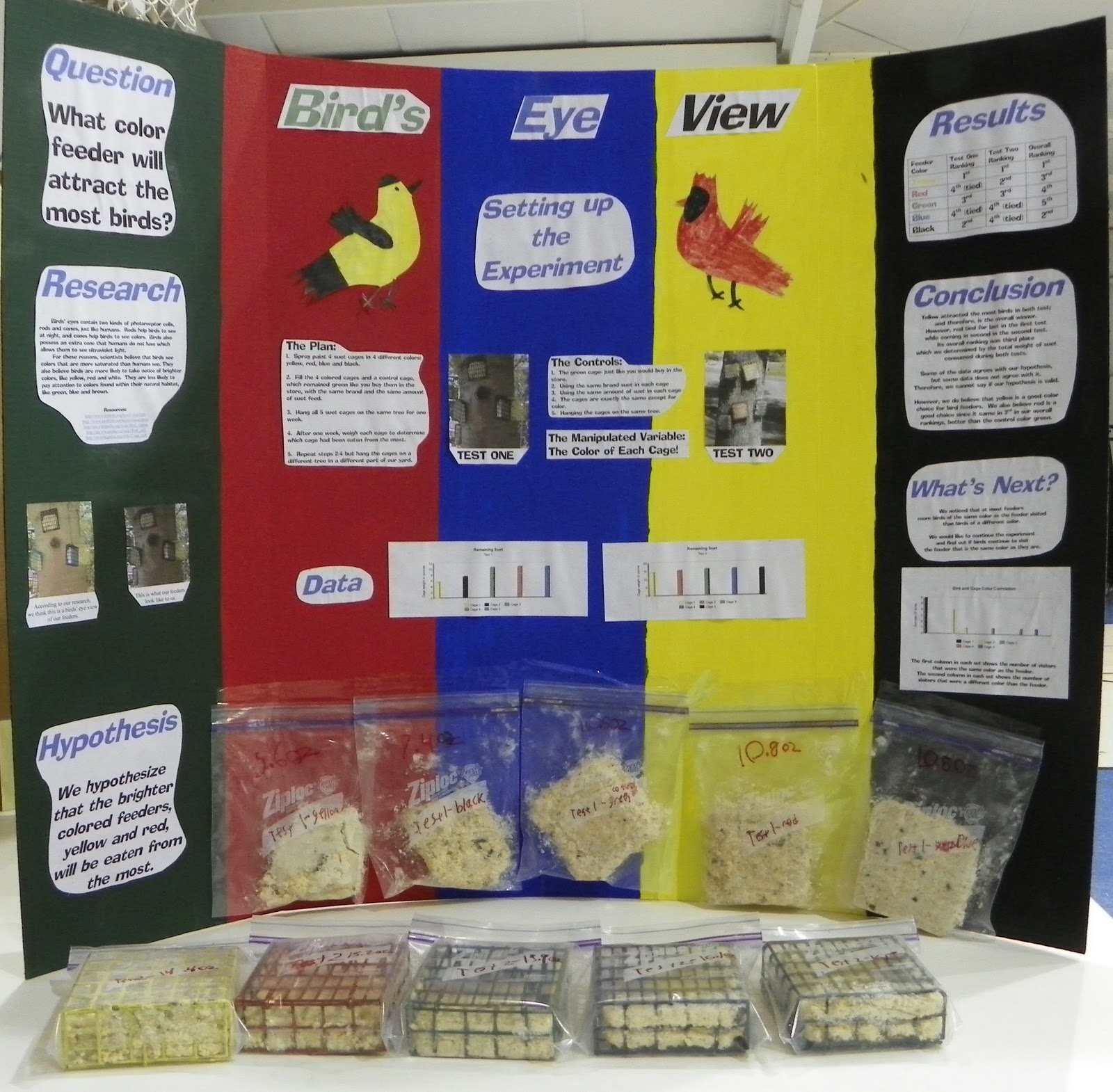 Home School Dawn: Science Fair 2011