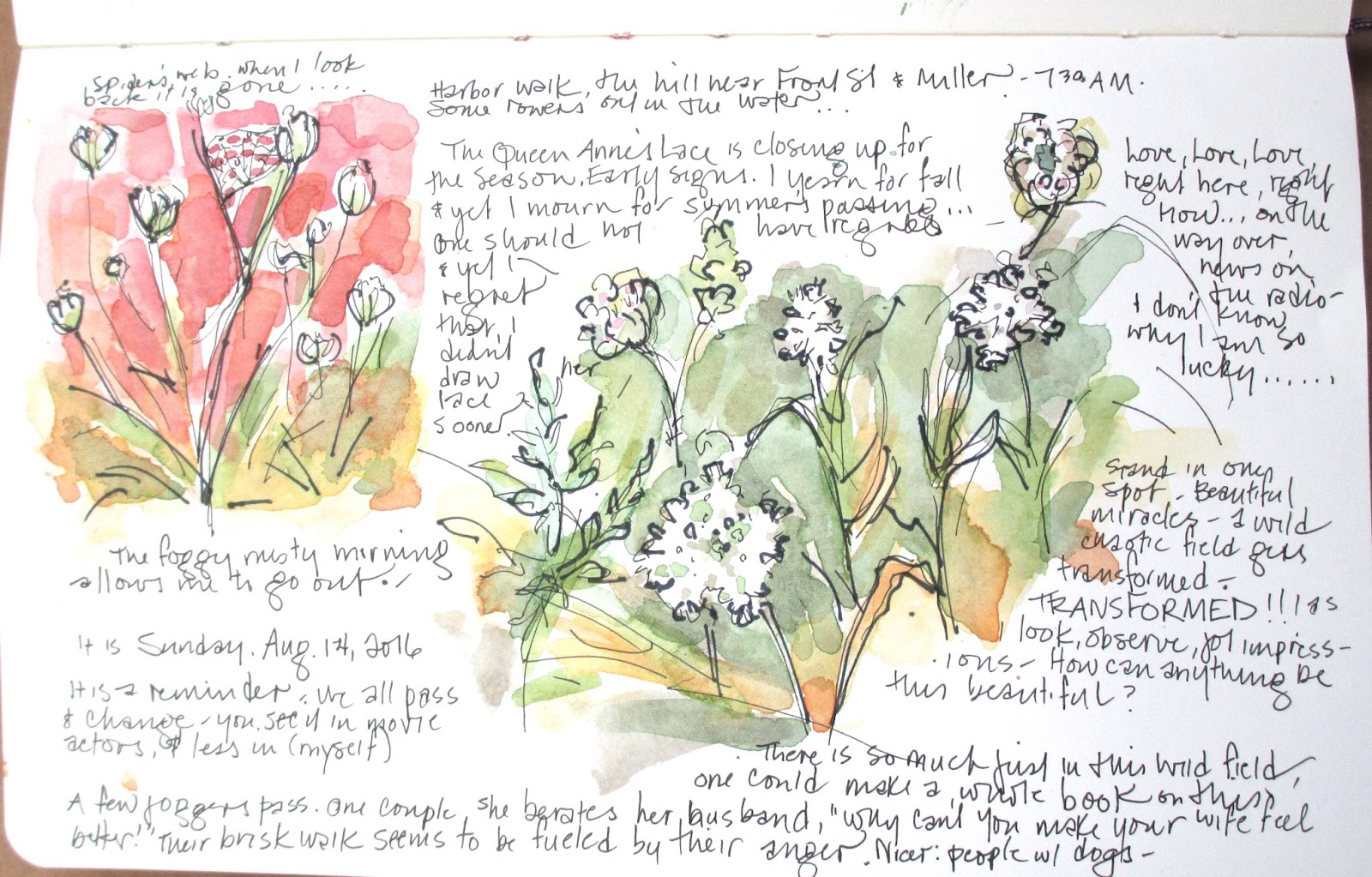 Sketchbook Wandering : Nature Sketch Journaling Sketchbook Wandering : Nature Sketch Journaling