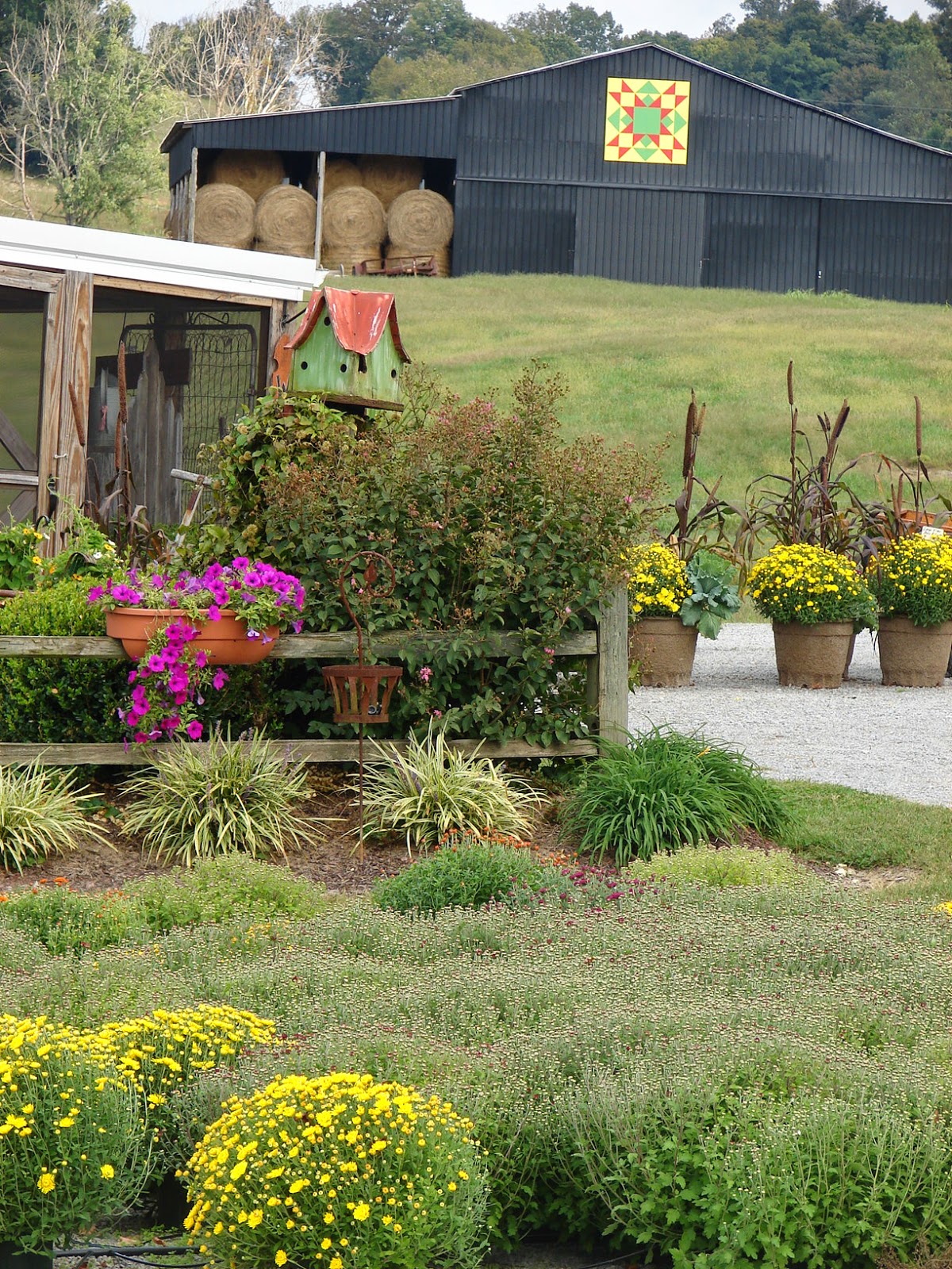 Cobblestone Farms: 2015