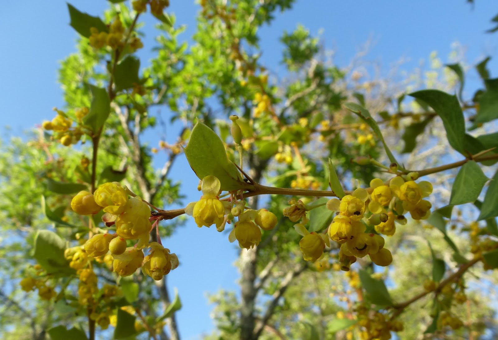 Uttarakhand and I: April 2017