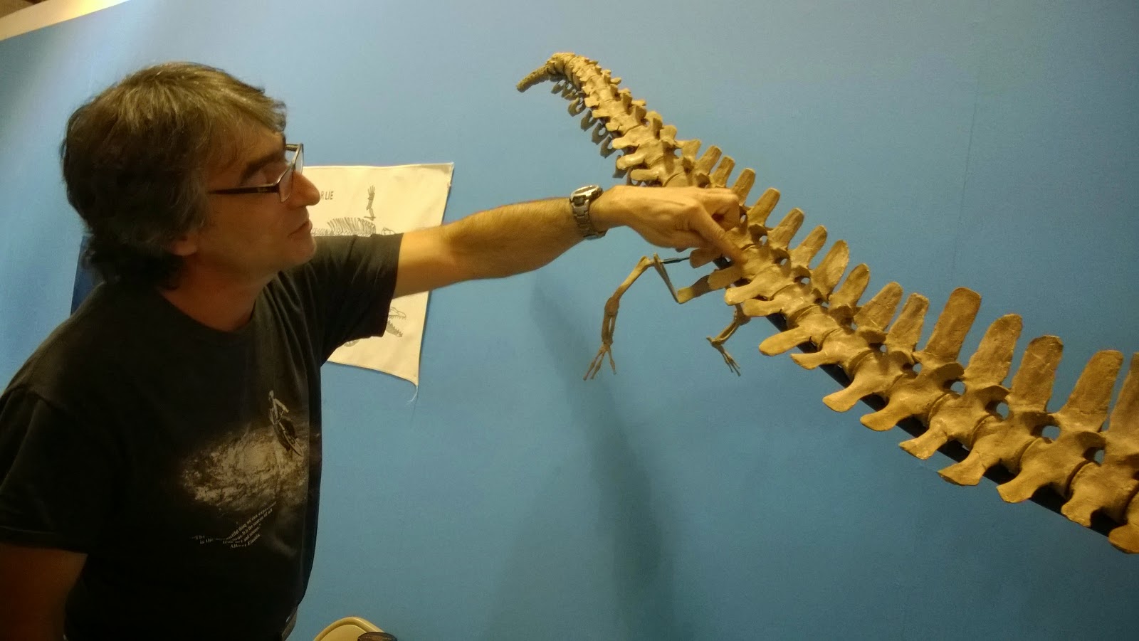 Mineral & Fossil Co-Op at the Tucson Gem Show - Visiting Vendors