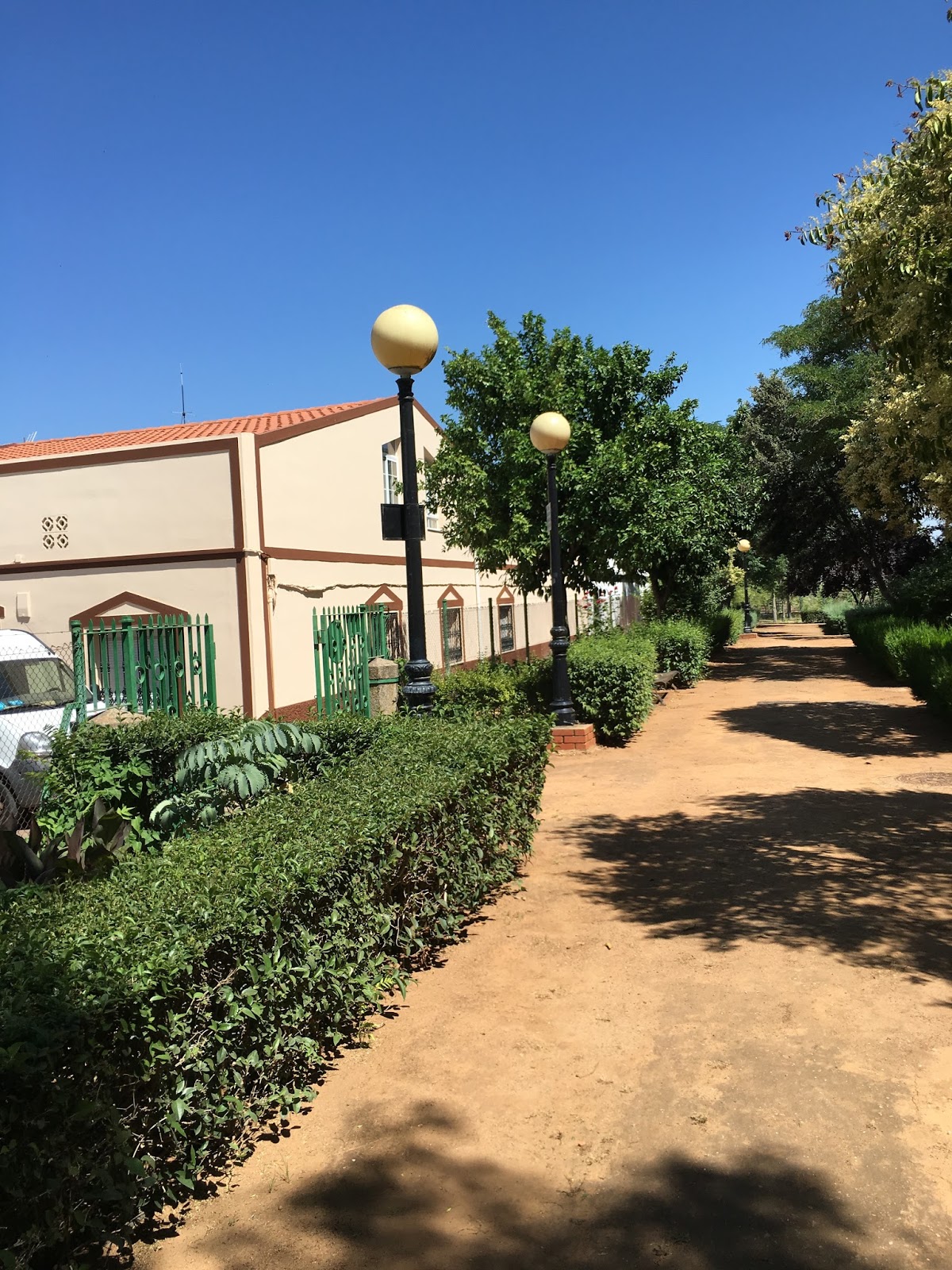 PARQUE MUNICIPAL DE MONTIJO: 8. FLORA DEL PARQUE MUNICIPAL (3). SETOS.