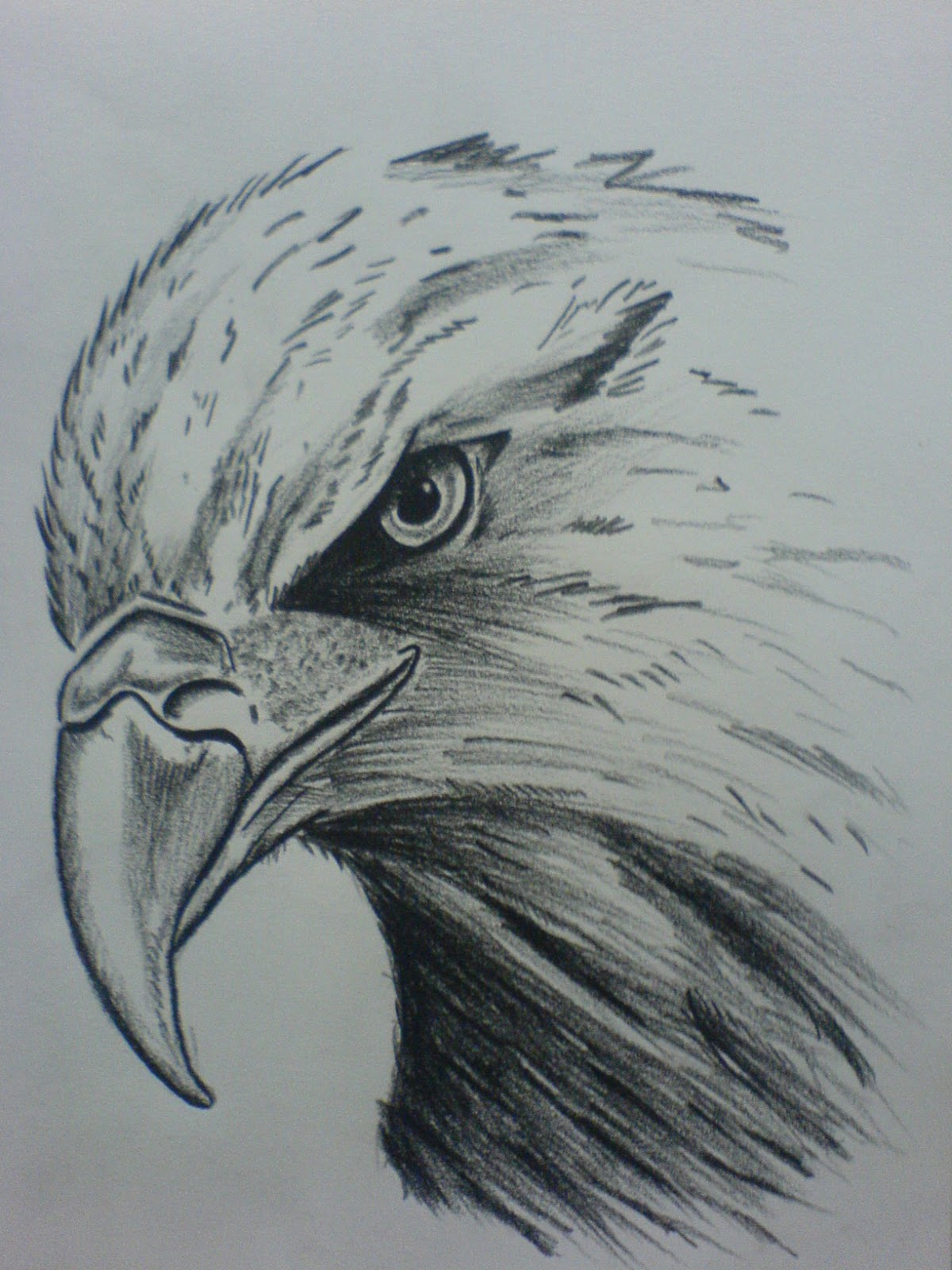 KARYA SENI HALUS: LUKISAN