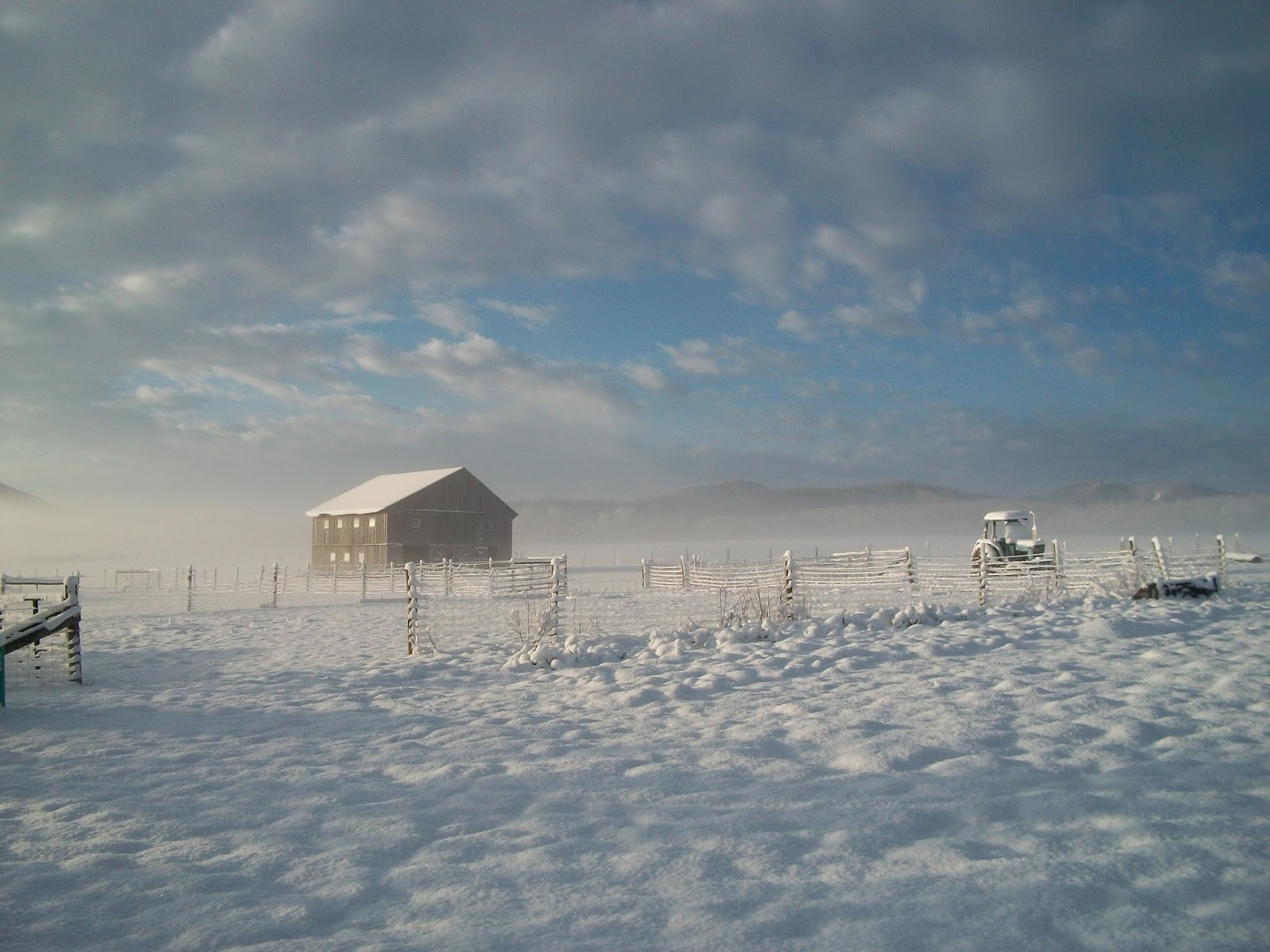 Woodridge Farm: WOOD RIDGE FARM