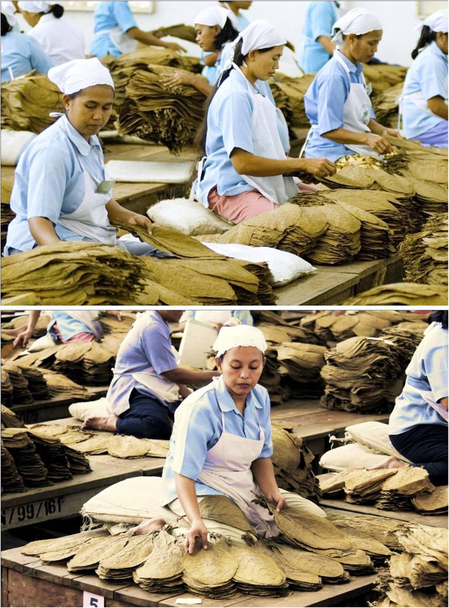 EddNgrh: Siapakah Boss Image Nusantara?