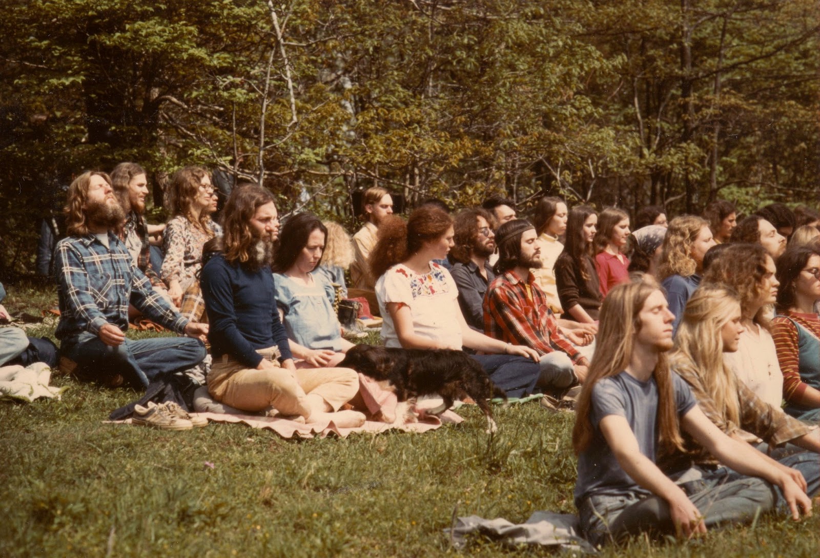 Le mouvement HIPPIE: une forme de contre-culture