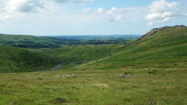 My Dartmoor Walks: Wednesday 7th August Hare Tor