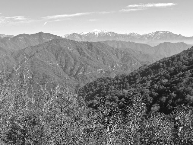 Sawpit and Silver Fish: Machete!