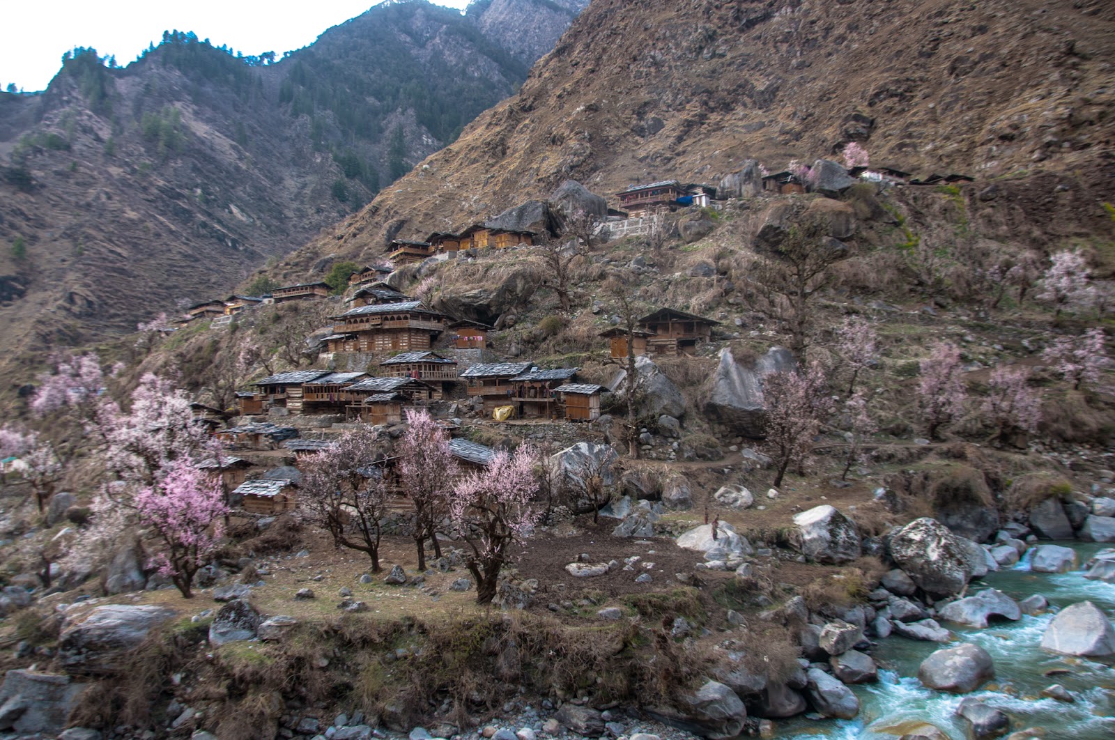 Travails and Travels: An evening in Gangar, a remote Himalayan Village ...