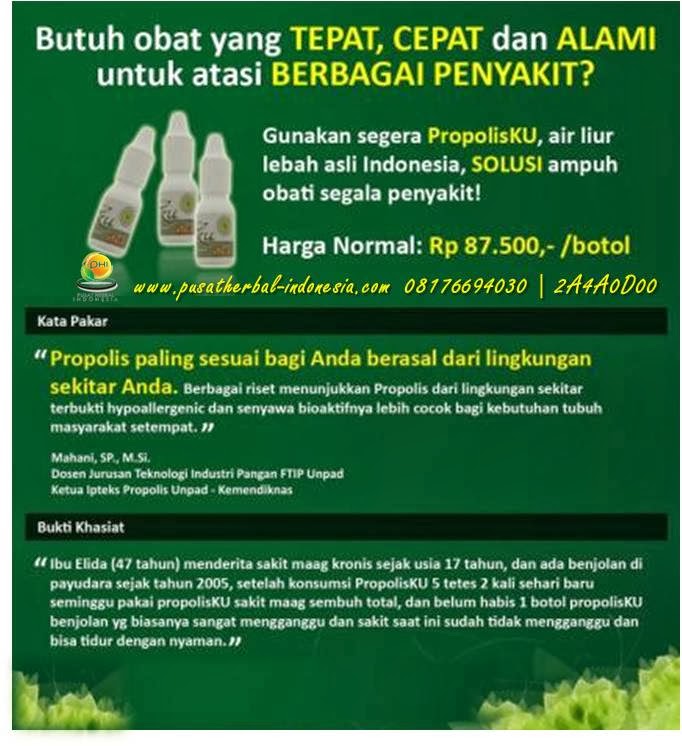 PropolisKU Indonesia