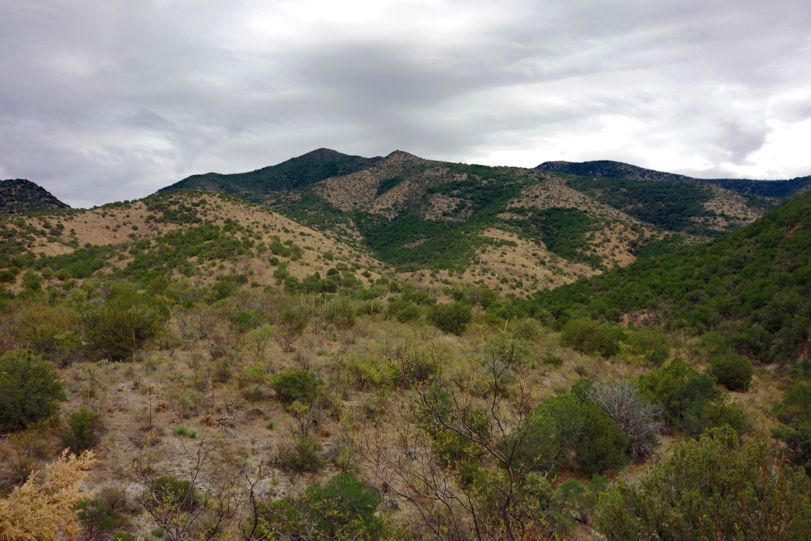 Earthline: The American West: Apache Peak, 7,711'; French Joe Peak ...