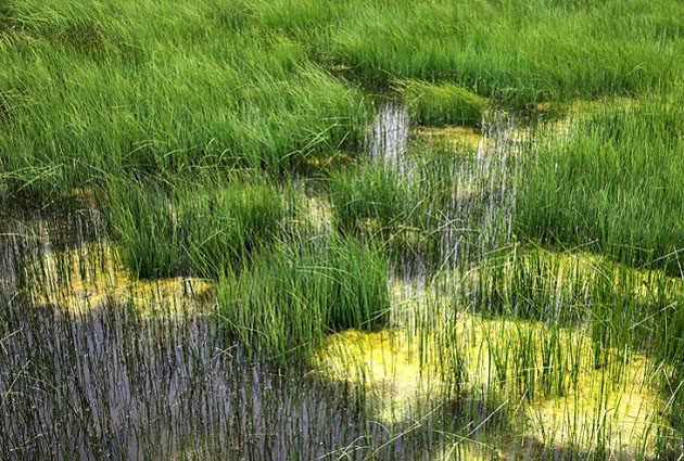 The Most Beautiful Wetland in China – China Tour Advisors