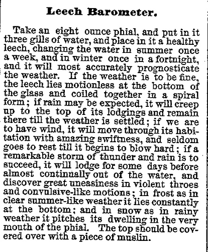 The Study: The Polished Prognosticator of the Playful Physician